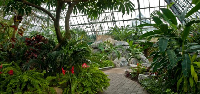Muttart Conservatory in Edmonton is an Amazing Tropical Paradise!